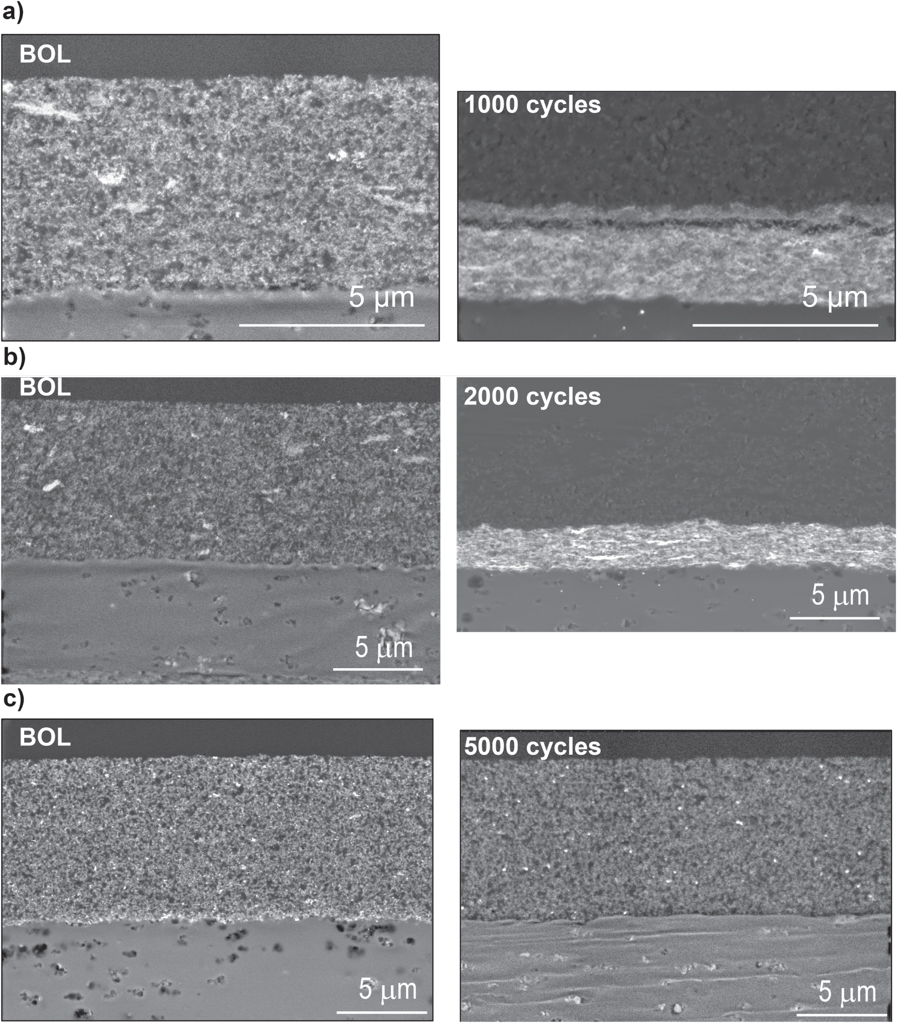 Effect of Catalyst and Catalyst Layer Composition on Catalyst Support ...