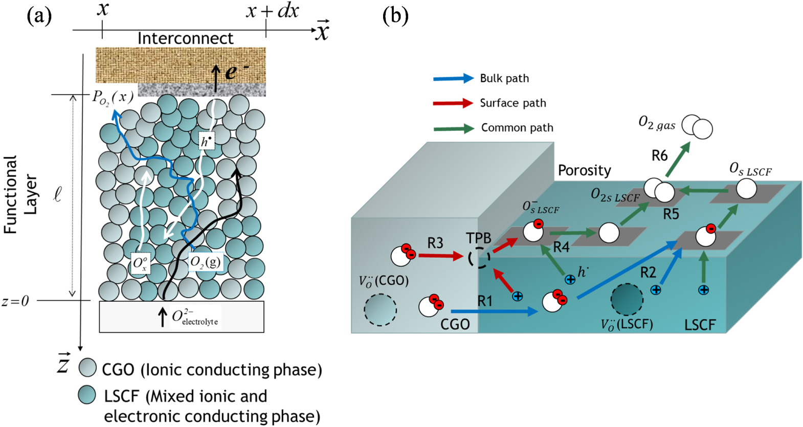 An Elementary Kinetic Model for the LSCF and LSCF-CGO Electrodes of ...