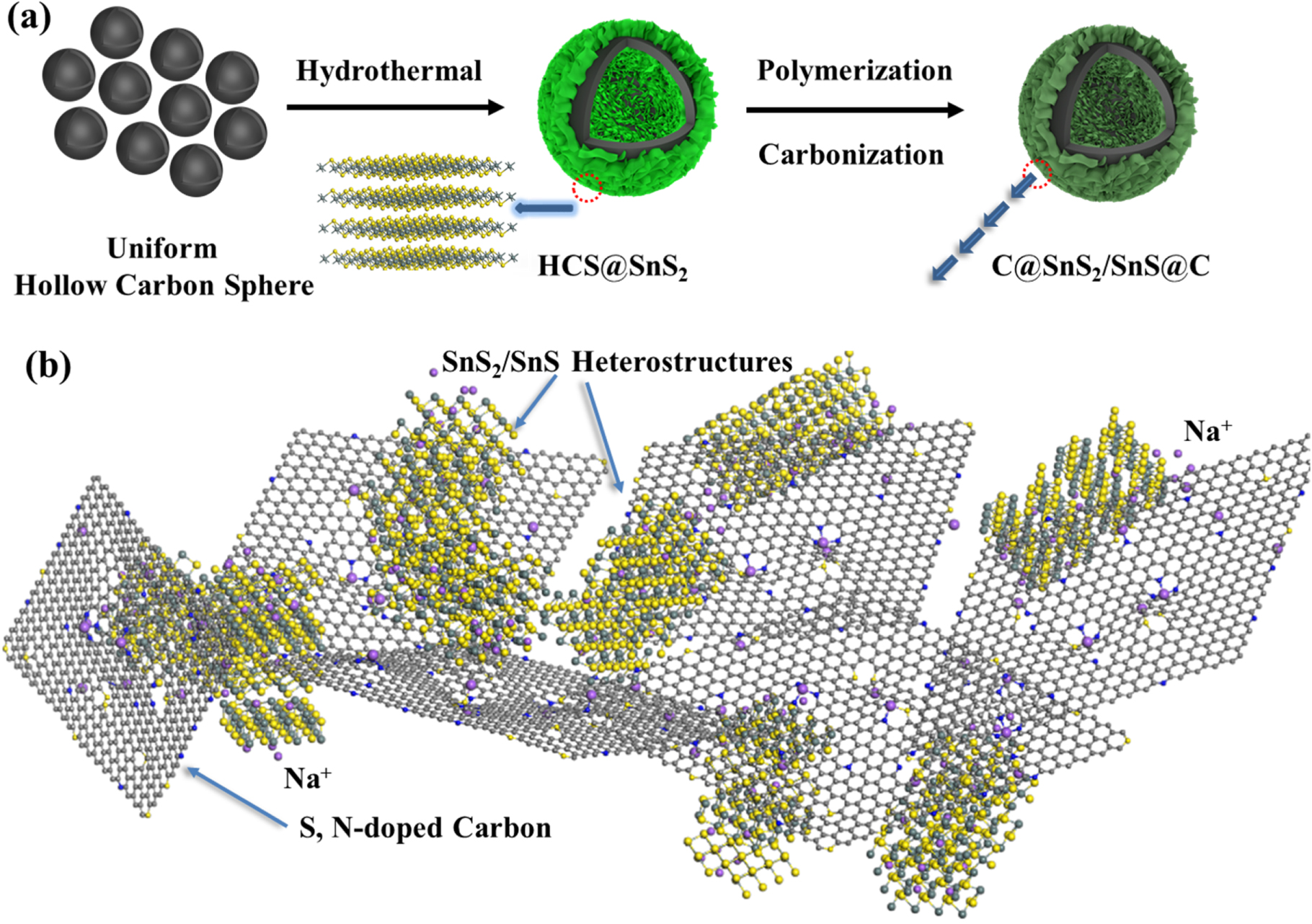 Fabrication of S,N-Doped Carbon-Coated SnS2/SnS Heterostructures ...