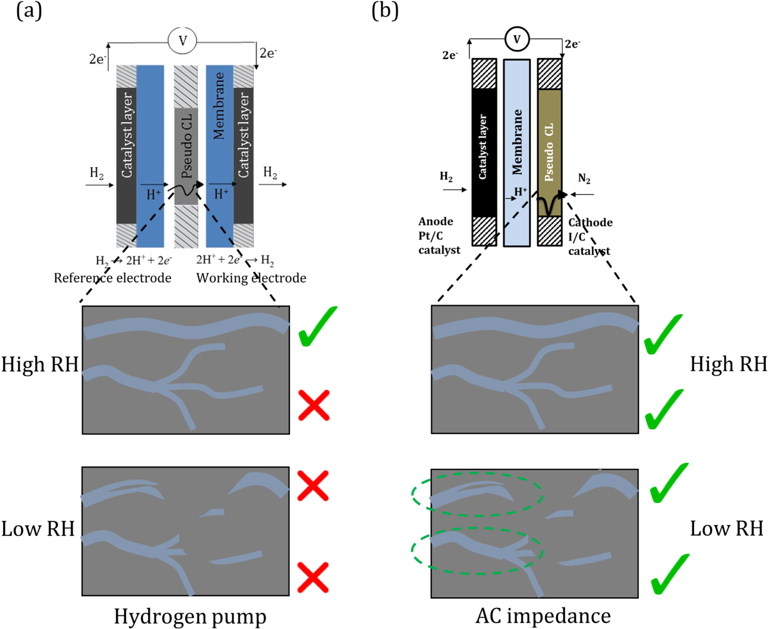 Interpreting Ionic Conductivity for Polymer Electrolyte Fuel Cell ...