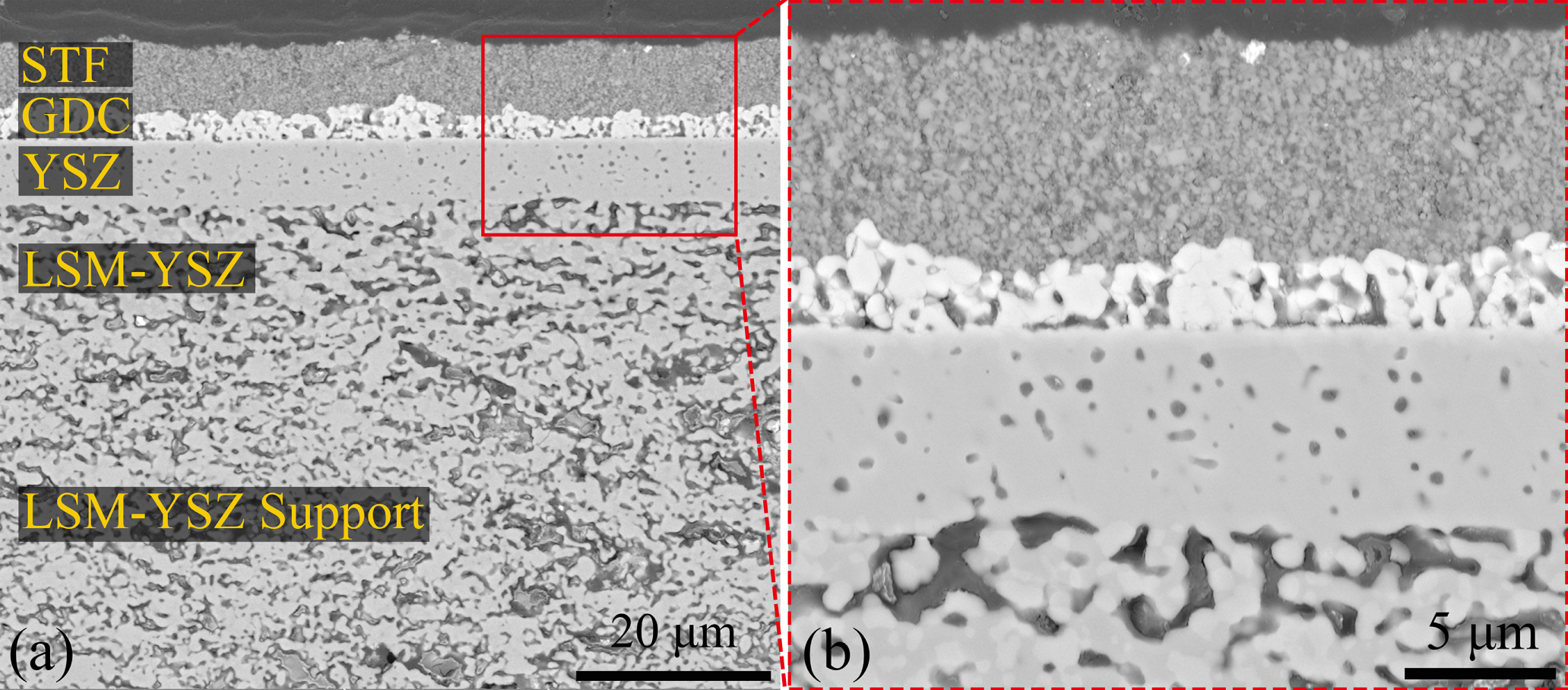 Characteristics of Oxygen Electrode Supported Reversible Solid Oxide ...