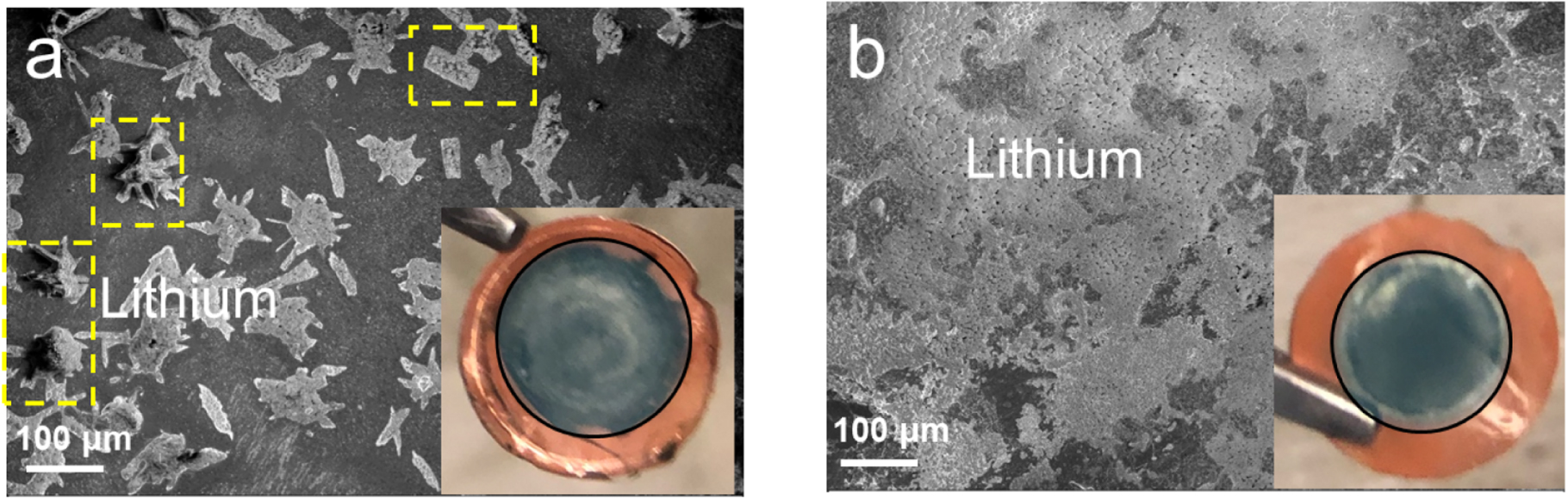 Communication—Anode-Free Lithium Metal Batteries: A Case Study of ...