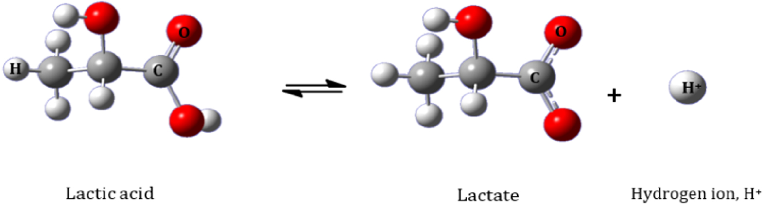 Review-Enzymatic and Non-Enzymatic Electrochemical Sensor for Lactate ...