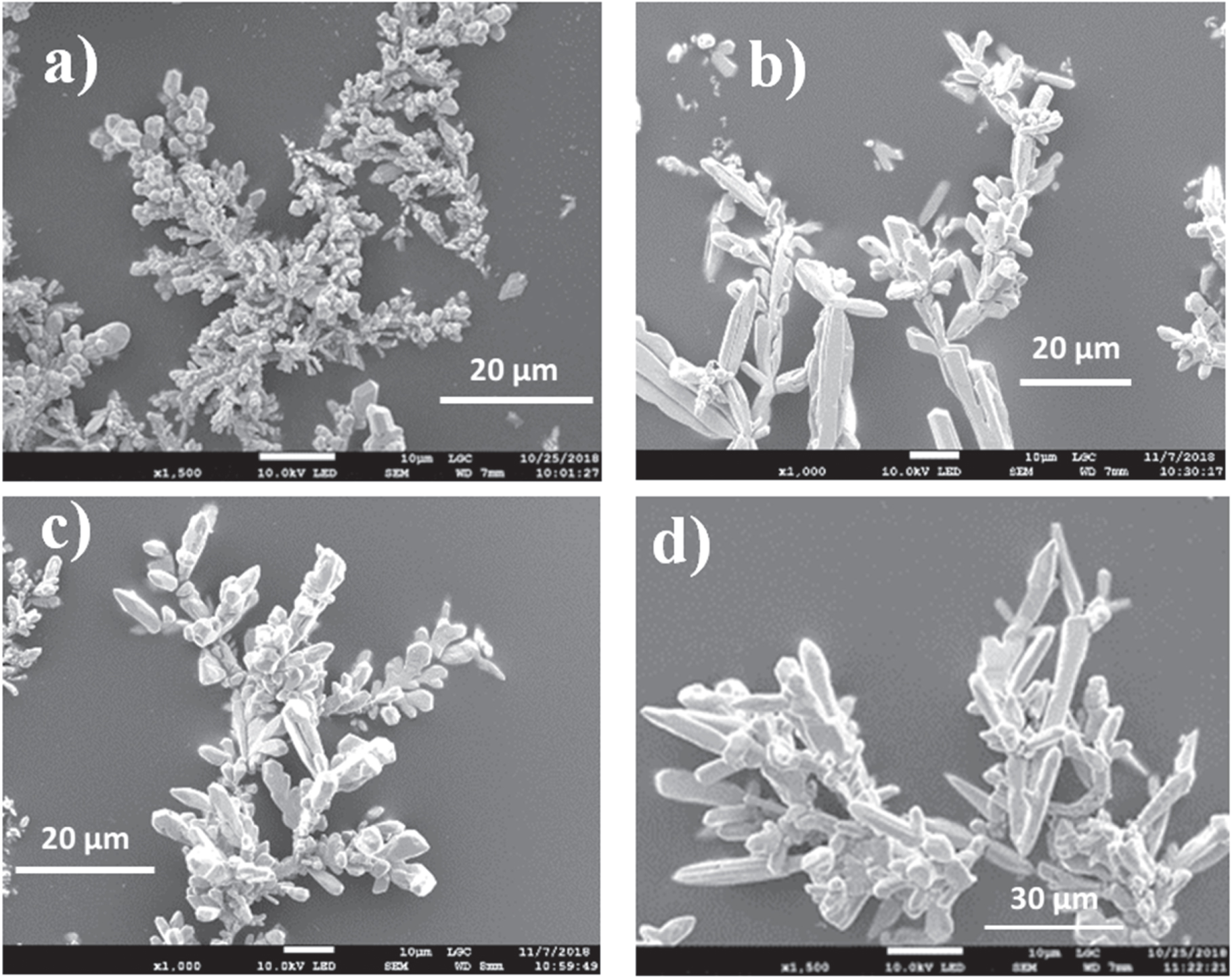 Crossover between Re-Nucleation and Dendritic Growth in ...
