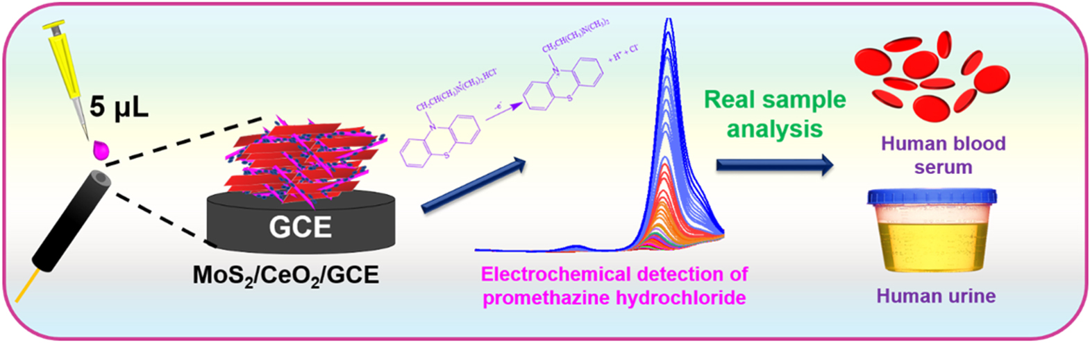 Engineering Layered Nanostructures of Two-Dimensional Transition Metal ...