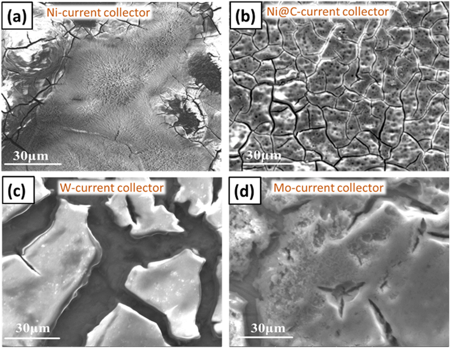 Stability of Current Collectors Against Corrosion in APC Electrolyte ...