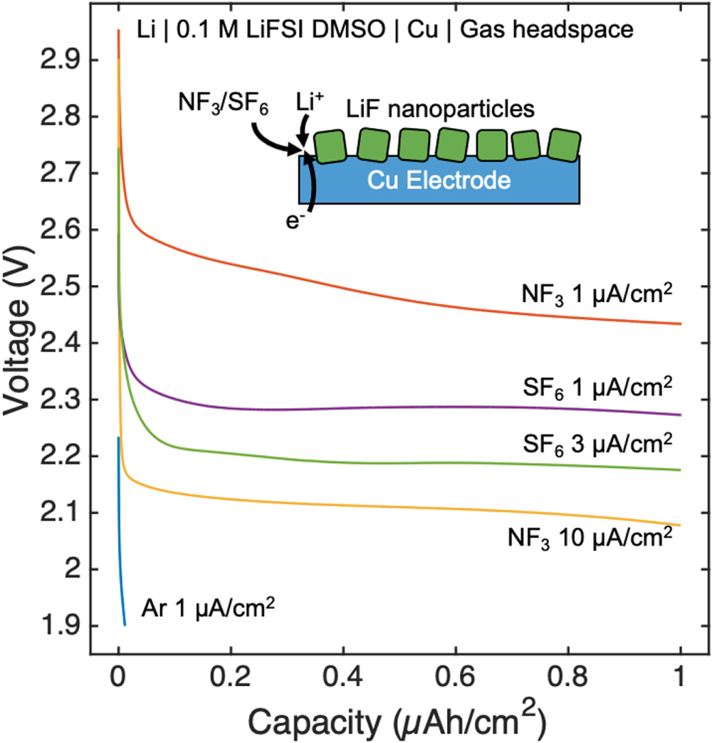 Impact of LiF Particle Morphology on Overpotential and Structure of Li ...