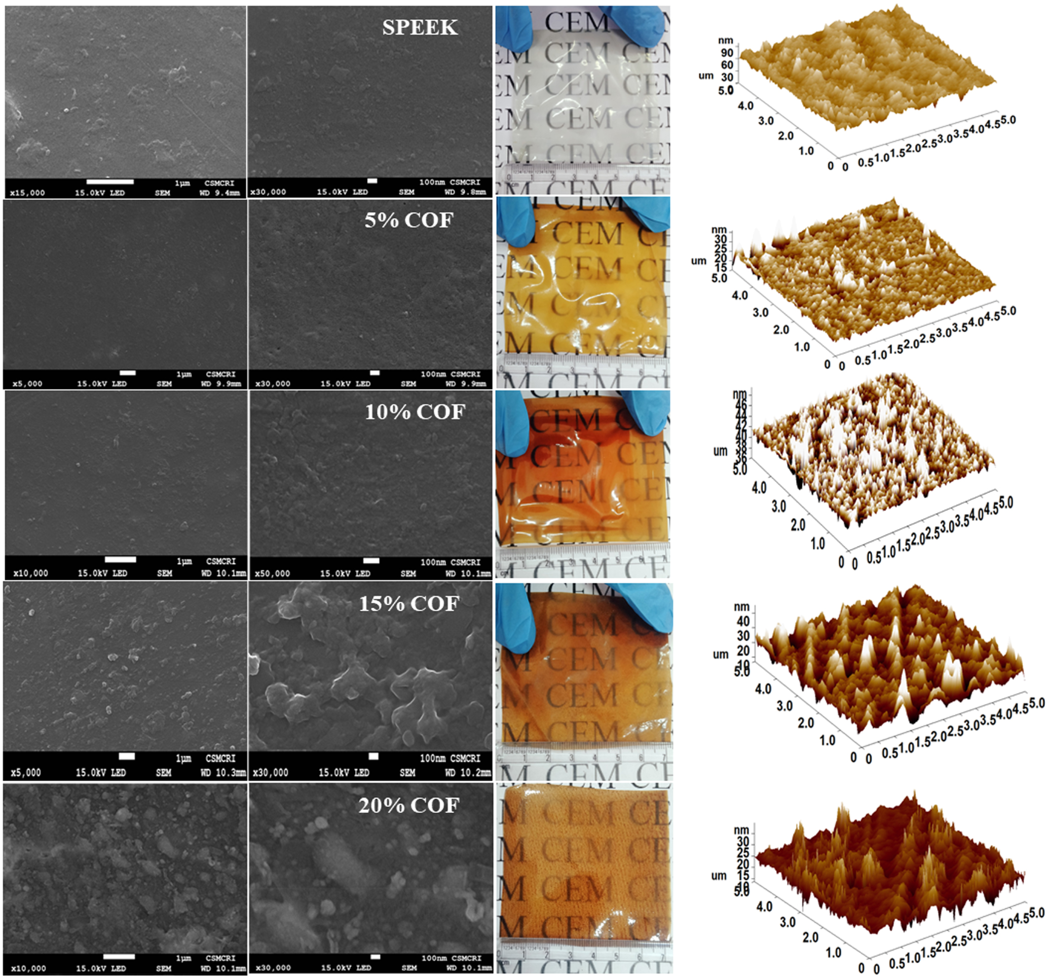 "SPEEK-COF" Composite Cation Exchange Membrane for Zn-I2 Redox Flow ...