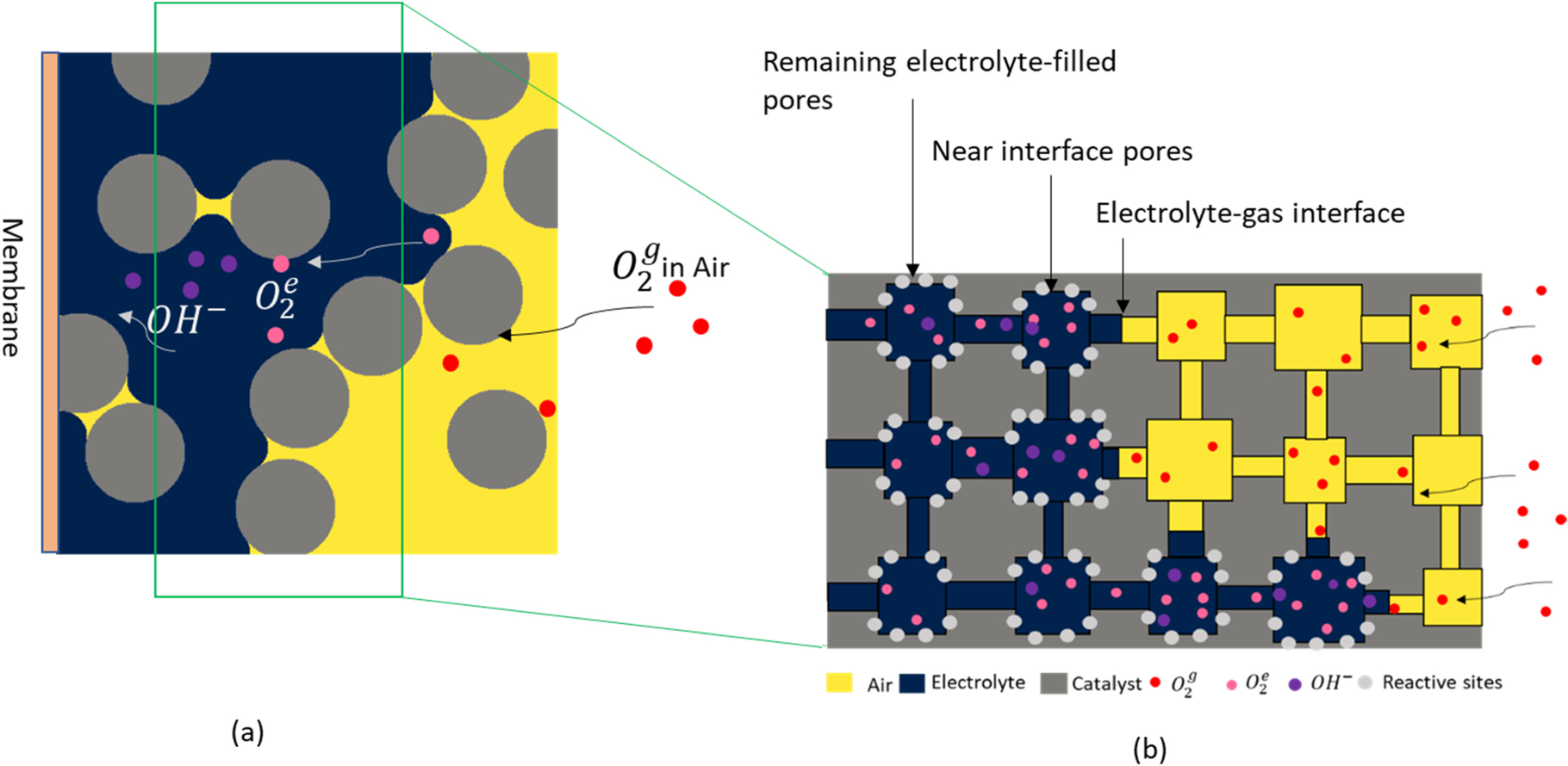 Investigating the Role of the Triple-Phase Boundary in Zinc-Air ...