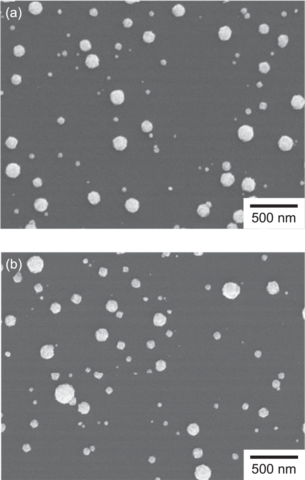 Composite Porous Structure Formation by Platinum-Particle-Assisted ...