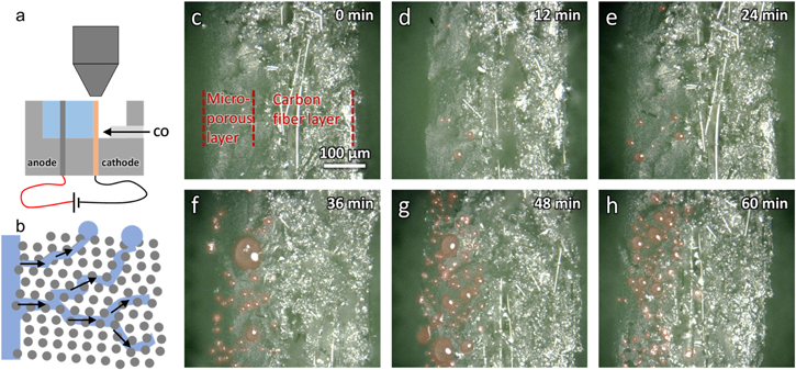 The Conventional Gas Diffusion Electrode May Not Be Resistant to ...