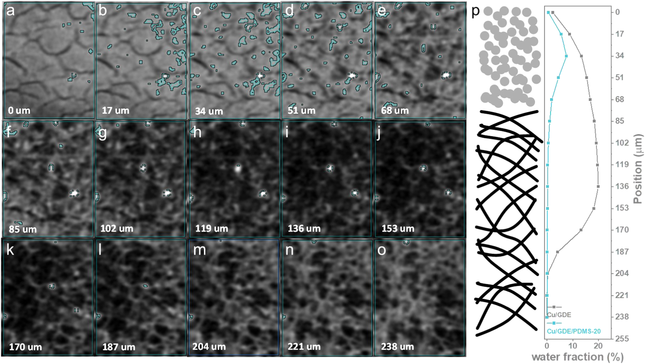 The Conventional Gas Diffusion Electrode May Not Be Resistant to ...