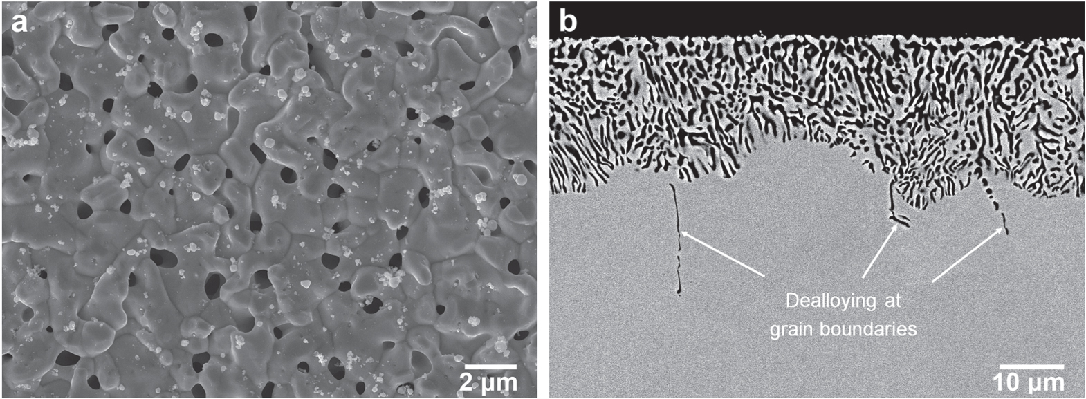 The Effect of Temperature on Dealloying Mechanisms in Molten Salt ...