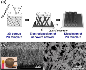 Shape Control of Metal Nanostructures by Electrodeposition and their ...