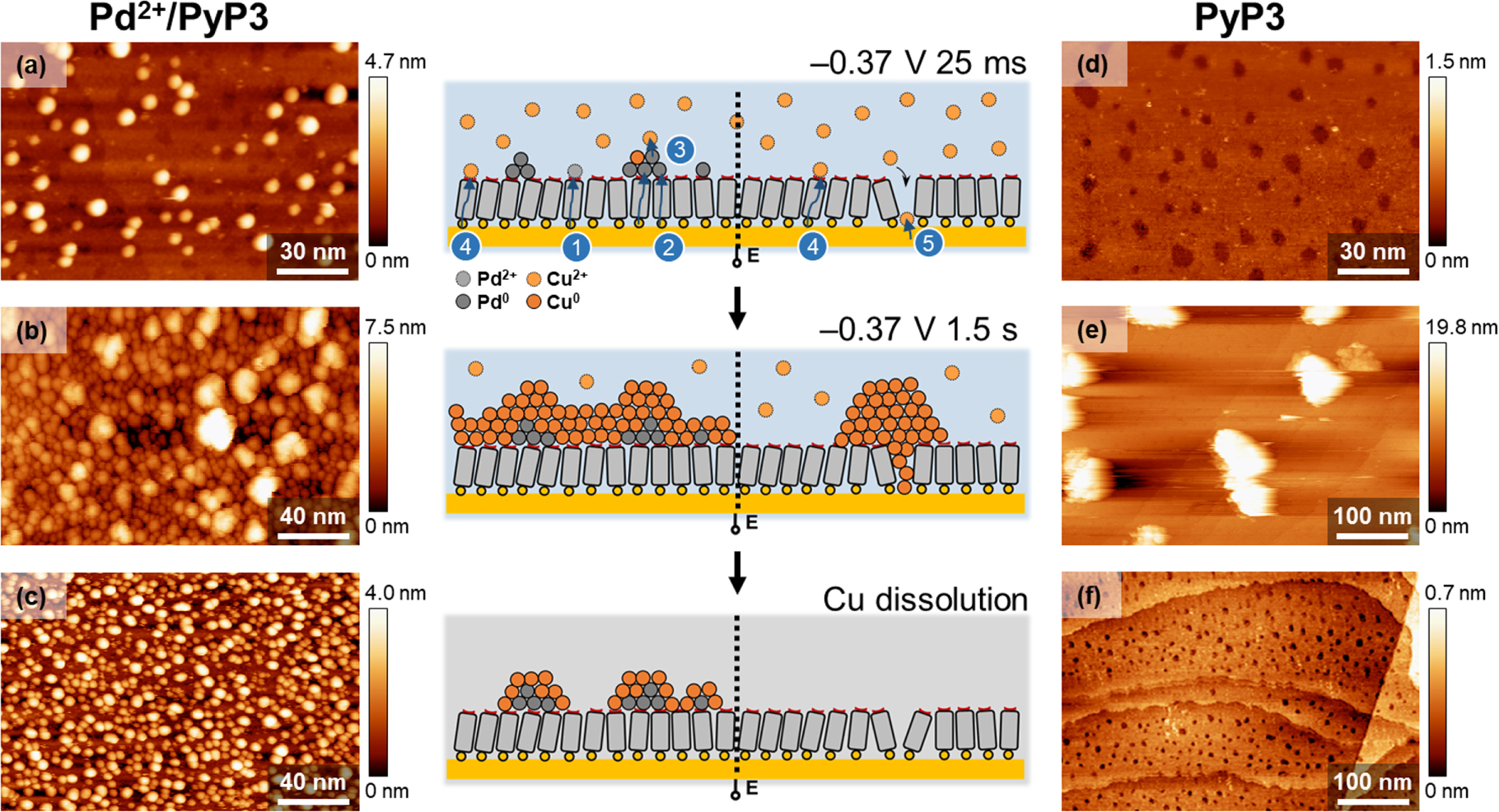 Coordination-Controlled Electrodeposition of Palladium/Copper Thin ...
