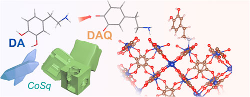 Squarate-Based Metal-Organic Frameworks for Highly Selective and ...