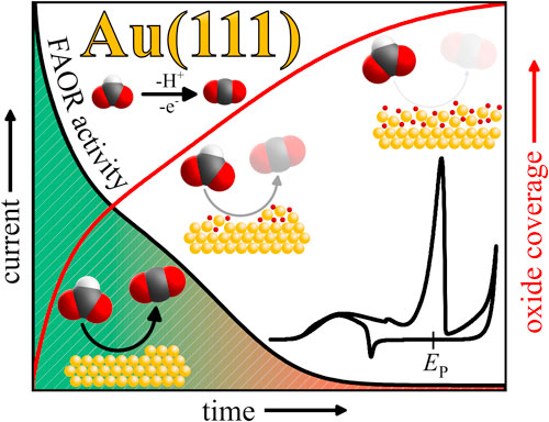 Au(111) Surface Oxidation Kinetics Probed by Electrocatalytic Oxidation ...