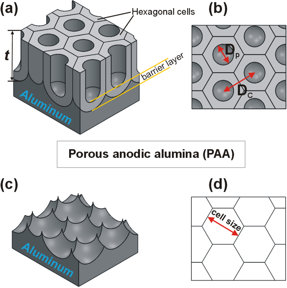 Self-Ordered Porous Anodic Alumina with Large Pore Intervals: Review on ...