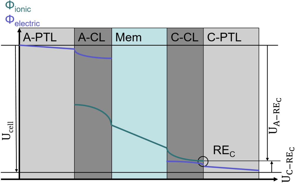 Application and Analysis of a Salt Bridge Reference Electrode Setup for ...