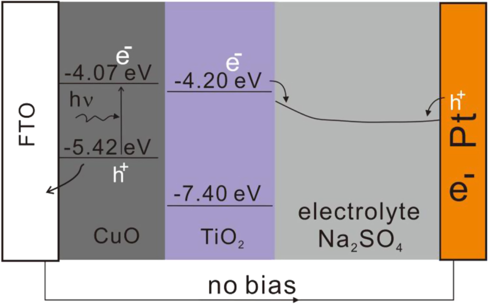 Dynamic Photocurrent Response of CuO-Nanoarray-Based Photoelectrodes ...
