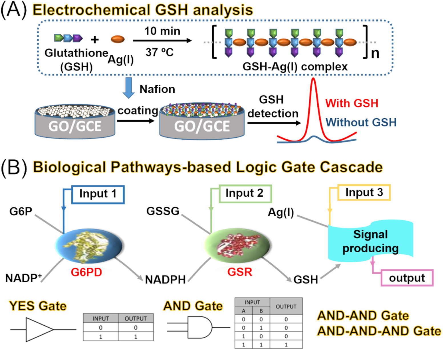 Versatile Electrochemical Platform for GSH Detection and its Boolean ...
