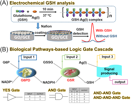 Versatile Electrochemical Platform for GSH Detection and its Boolean ...