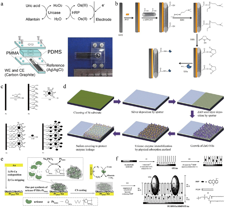 Electrochemical Uric Acid Sensors: Fundamentals and Commercial Status ...