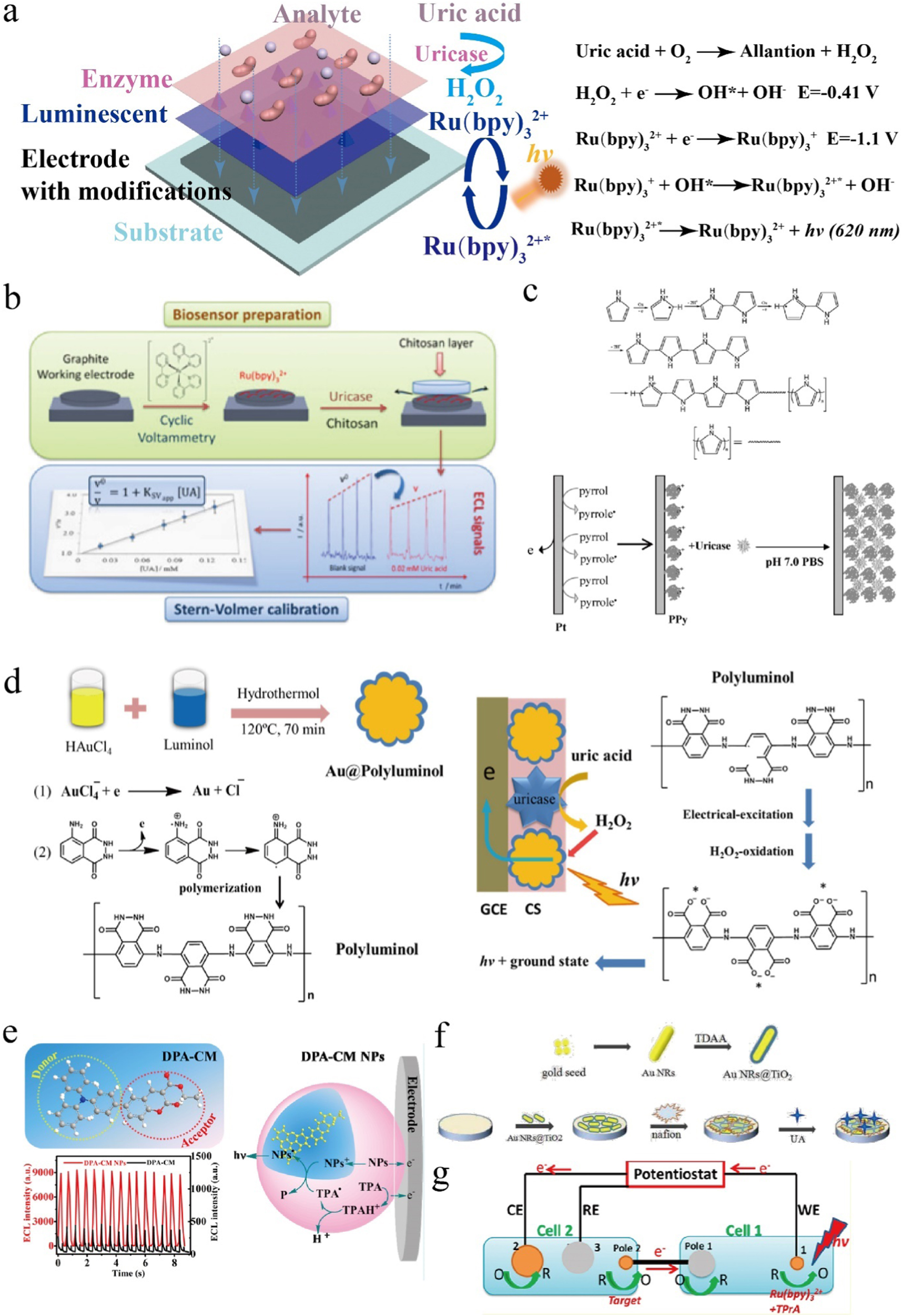 Electrochemical Uric Acid Sensors: Fundamentals and Commercial Status ...
