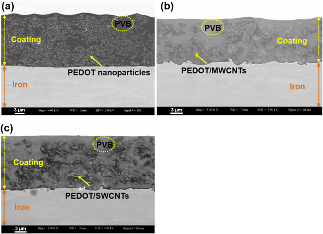 Morphology-Dependent Delamination Performance of Poly (3,4 ...