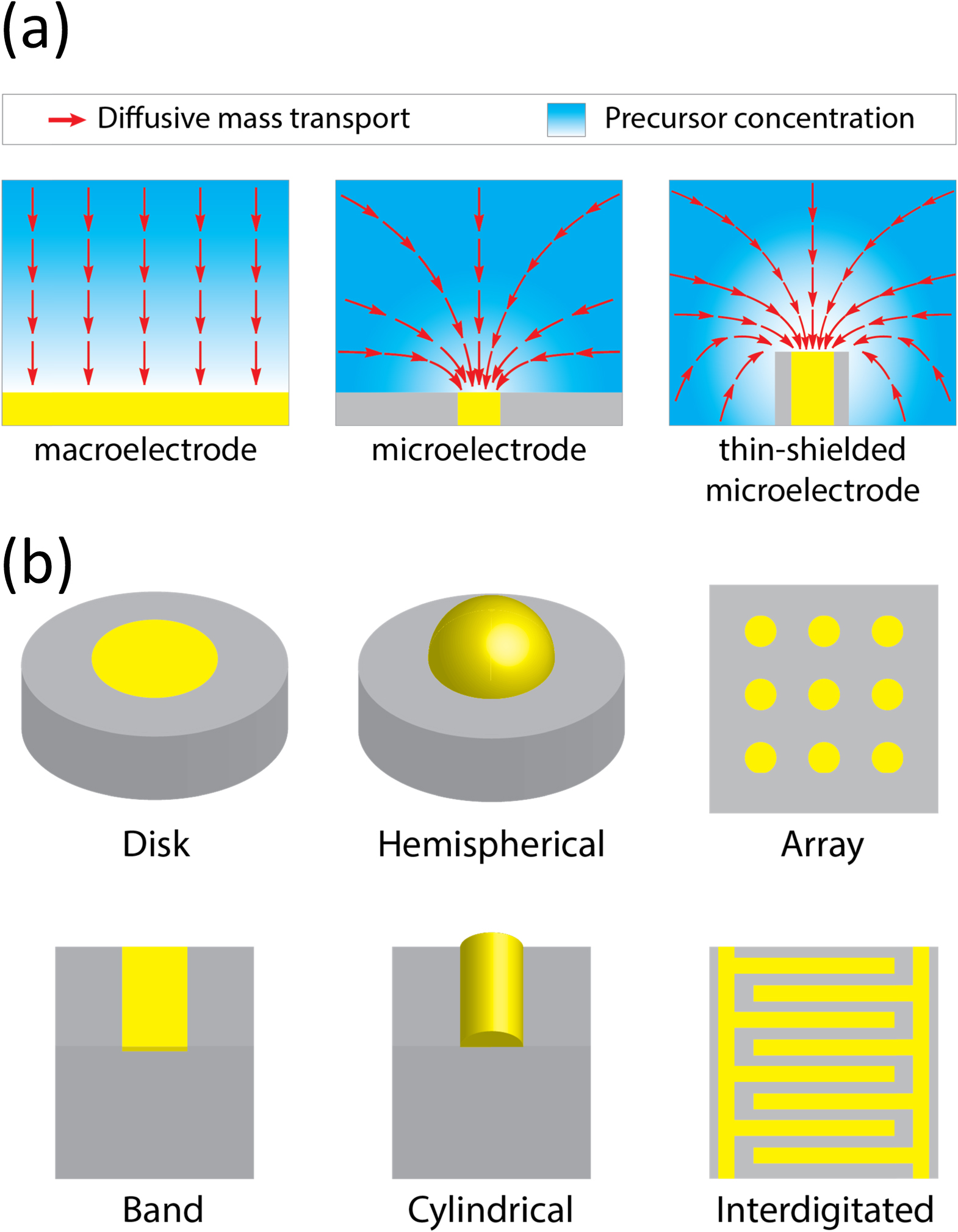 Review—Micro/Nanoelectrodes and Their Use in Electrocrystallization ...