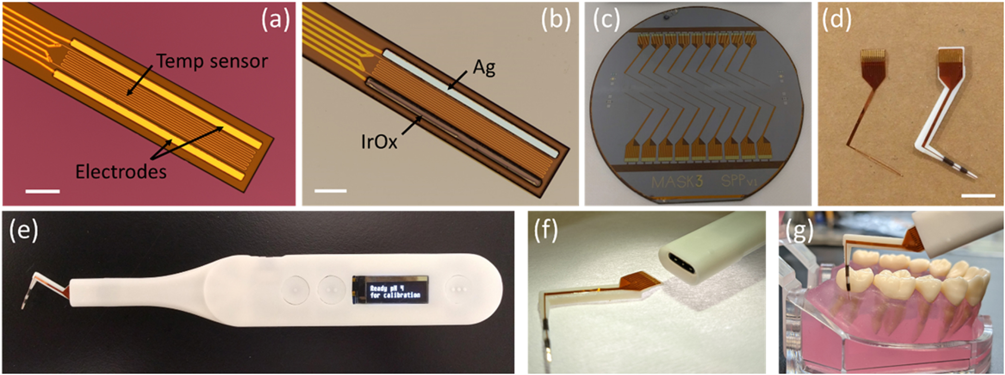 Multifunctional Periodontal Probes and Their Handheld Electronic System ...