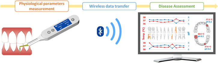 Multifunctional Periodontal Probes and Their Handheld Electronic System ...