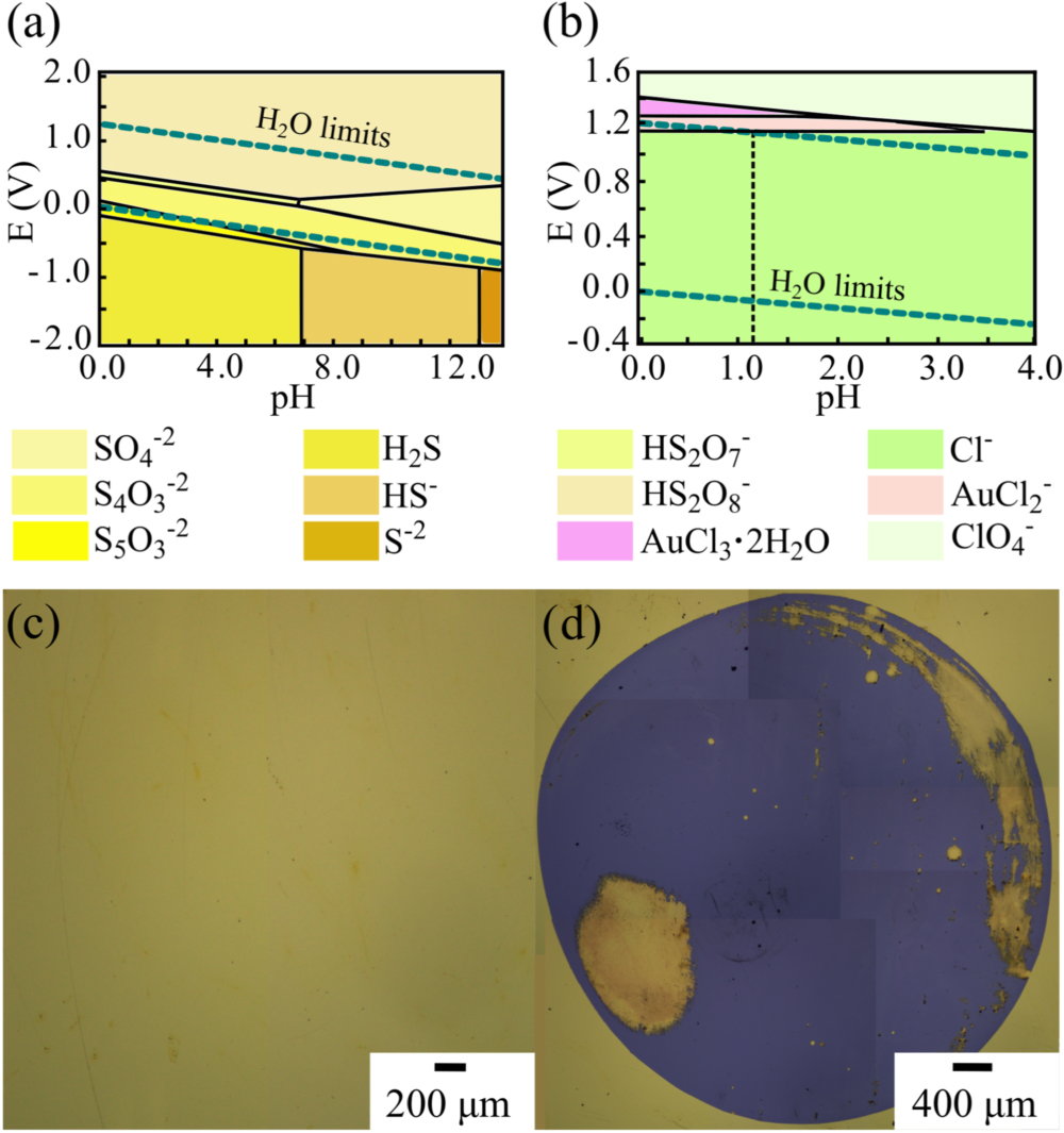 On the Dynamic Stability of Gold Electrodes Exposed to Alternative ...