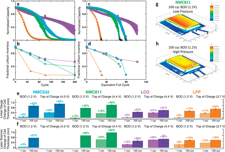 Different Positive Electrodes for Anode-Free Lithium Metal Cells ...