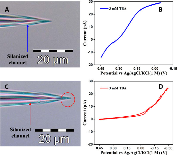 New Method in Surface Treatment of Nanopipette for Interface between ...