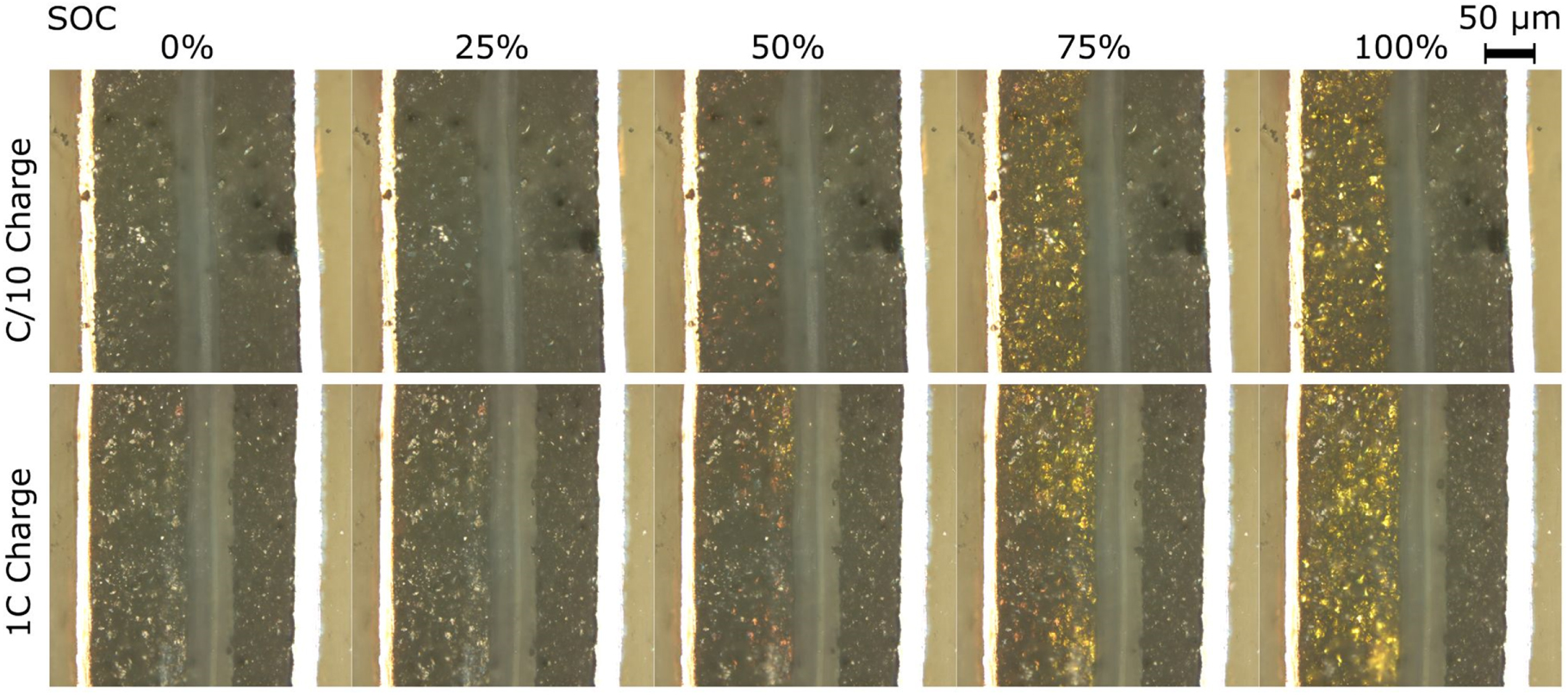 Cross-Sectional In Situ Optical Microscopy with Simultaneous ...