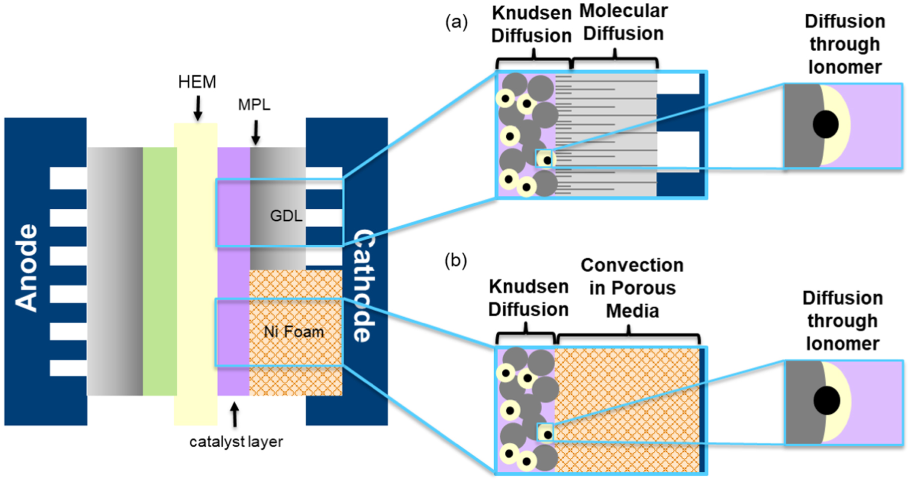 Study of Cathode Gas Diffusion Architecture for Improved Oxygen ...