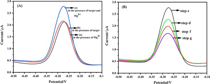 In Situ Reduction of Gold Nanoparticle-Decorated Ti3C2 MXene for ...