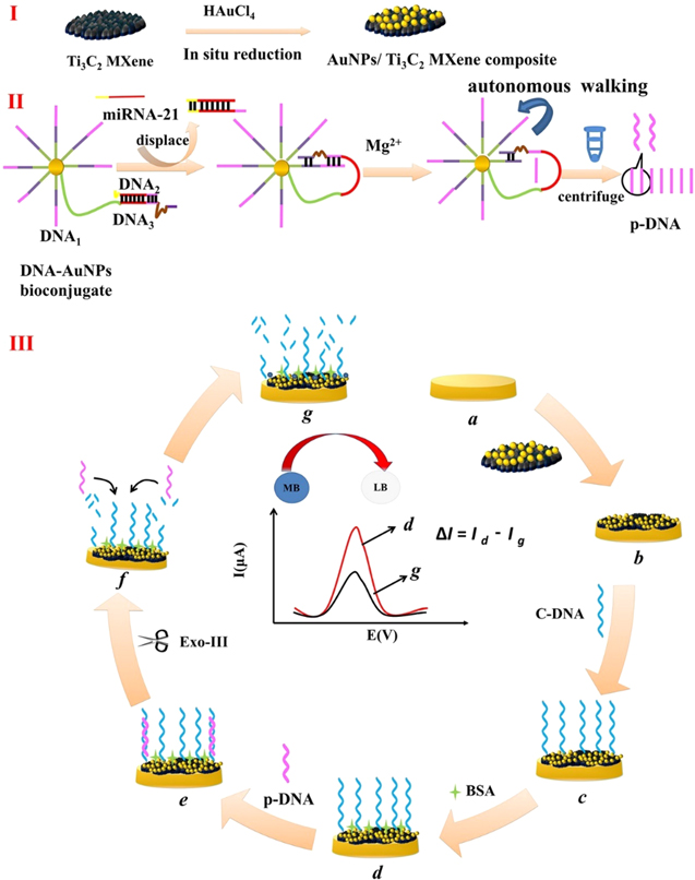 In Situ Reduction of Gold Nanoparticle-Decorated Ti3C2 MXene for ...