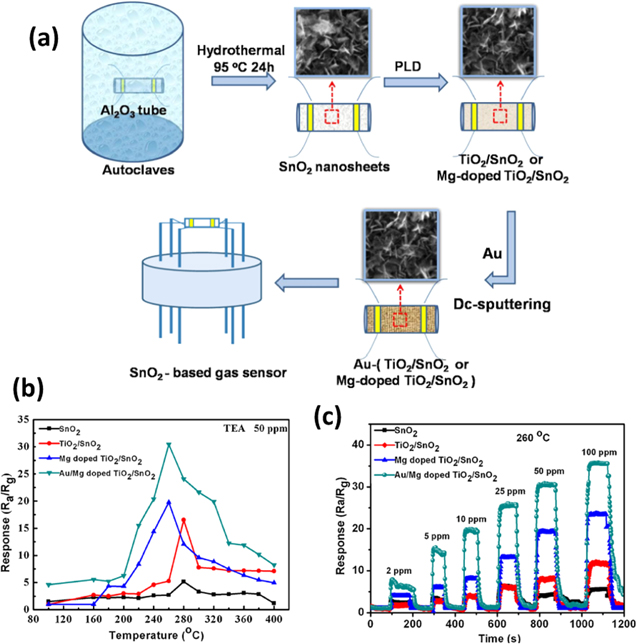 Review—Semiconductor Materials and Devices for Gas Sensors - IOPscience