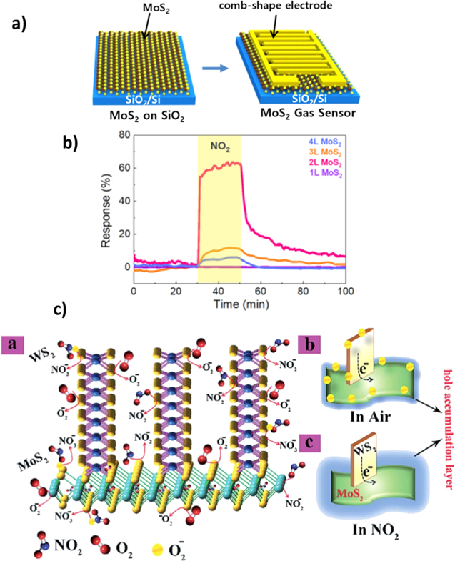 Review—Semiconductor Materials and Devices for Gas Sensors - IOPscience