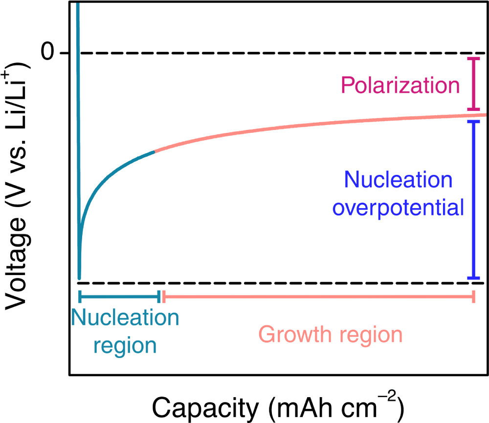 Measuring the Nucleation Overpotential in Lithium Metal Batteries ...