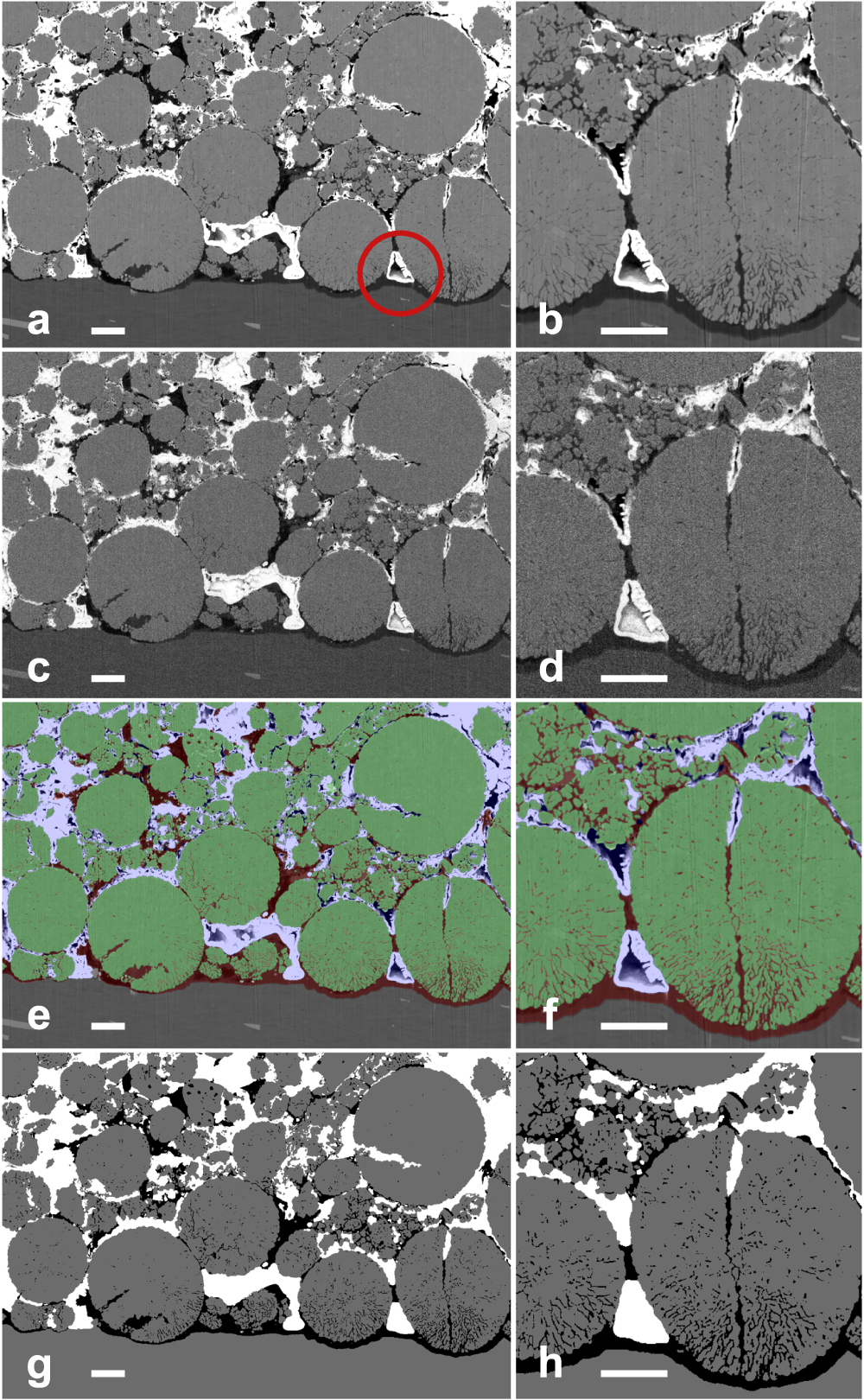 Methods—Kintsugi Imaging of Battery Electrodes: Distinguishing Pores ...