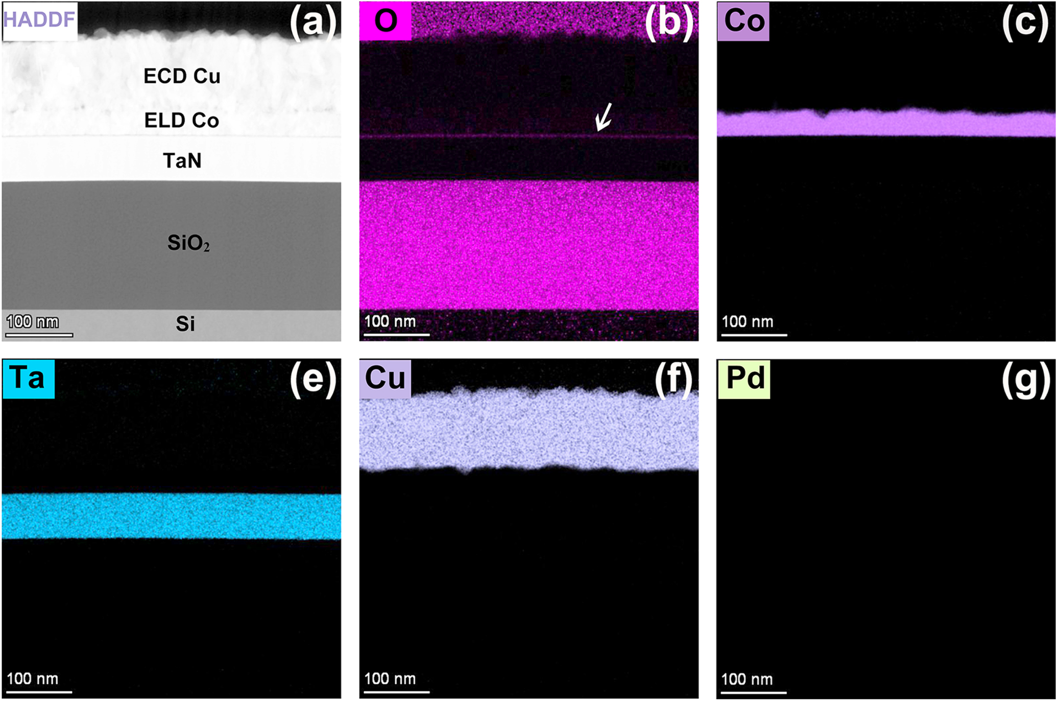 Electroless Deposition of Pure Co on TaN Substrate for Interconnect ...