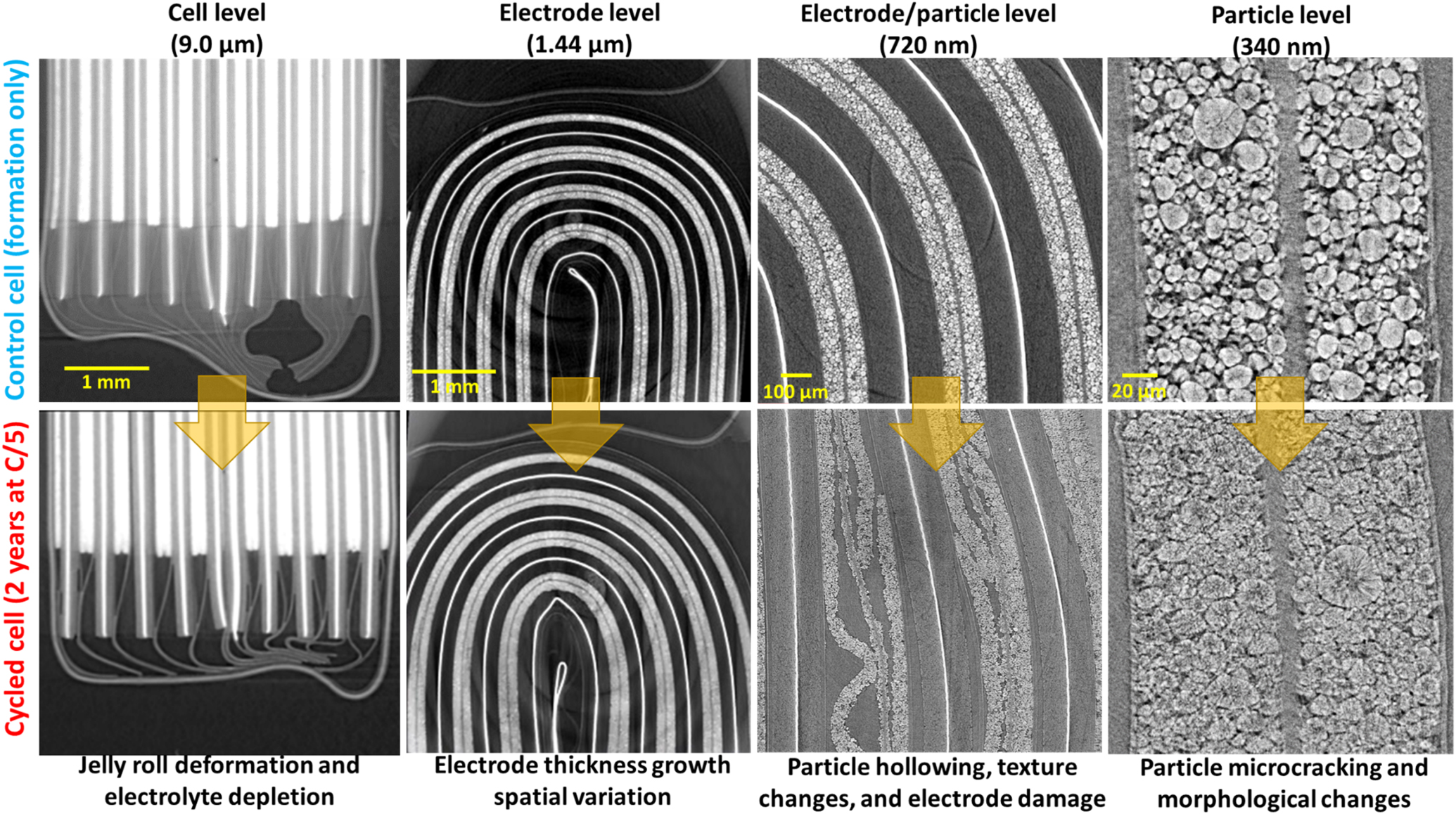 In-Situ Computed Tomography of Particle Microcracking and Electrode ...