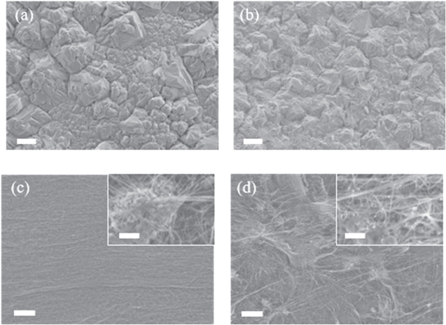 A Single Step Assembly of Carbon Nanotube Fabric Containing Embedded ...