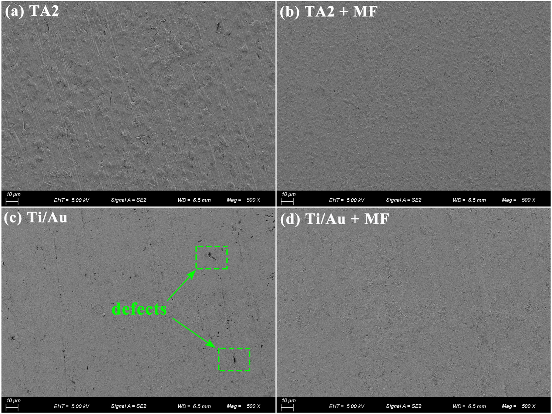 Effect of Magnetic Field on Corrosion Behaviors of Gold-Coated Titanium ...