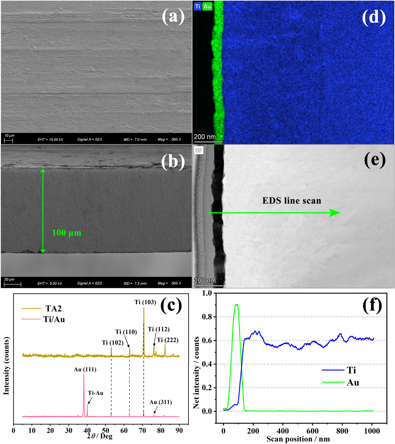 Effect of Magnetic Field on Corrosion Behaviors of Gold-Coated Titanium ...