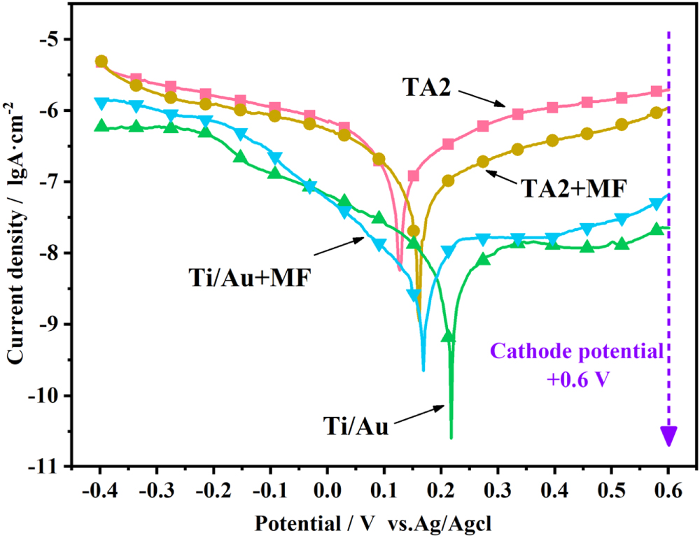 Effect of Magnetic Field on Corrosion Behaviors of Gold-Coated Titanium ...