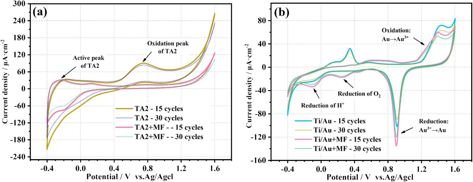 Effect of Magnetic Field on Corrosion Behaviors of Gold-Coated Titanium ...